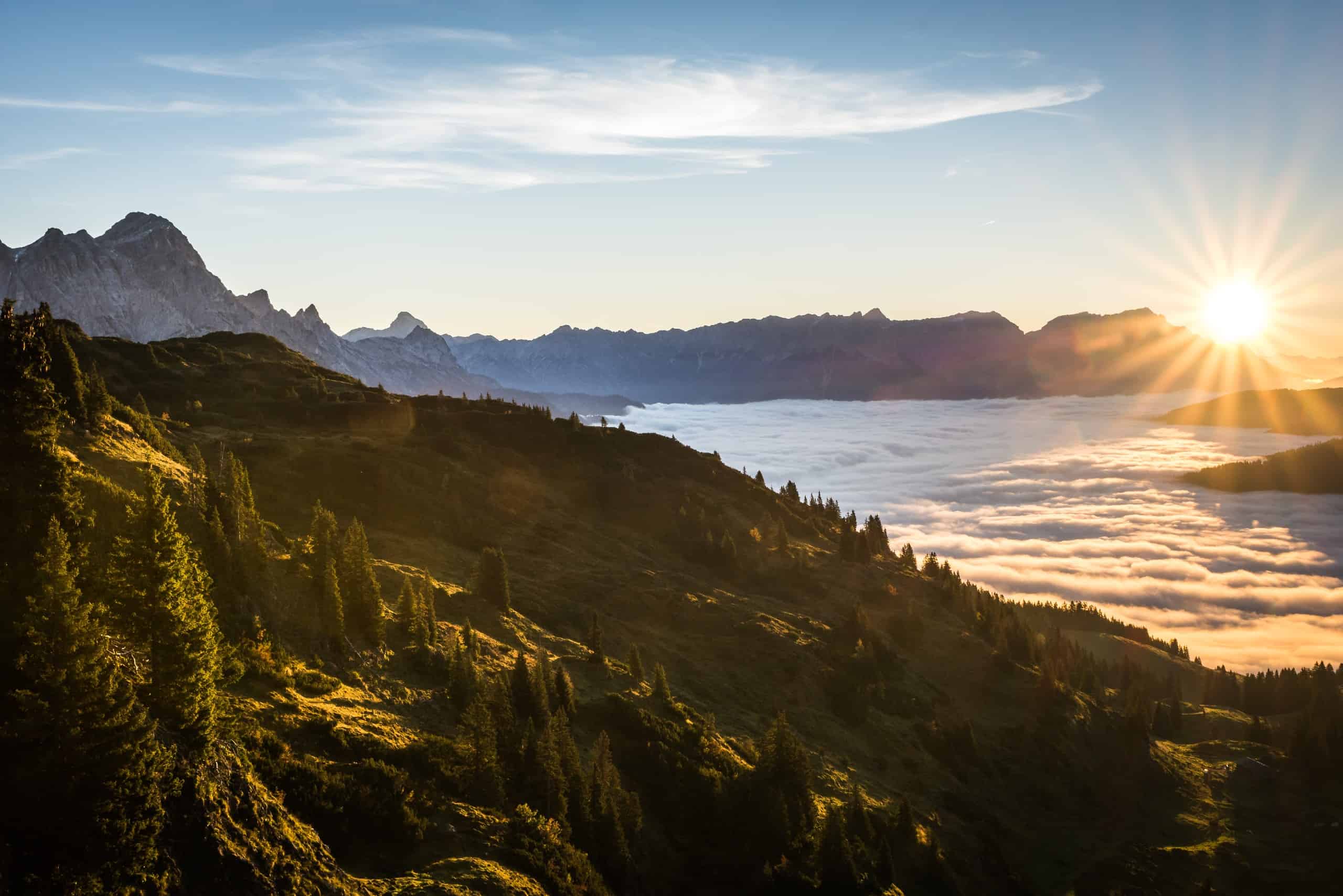 Region - Bergdorf Priesteregg